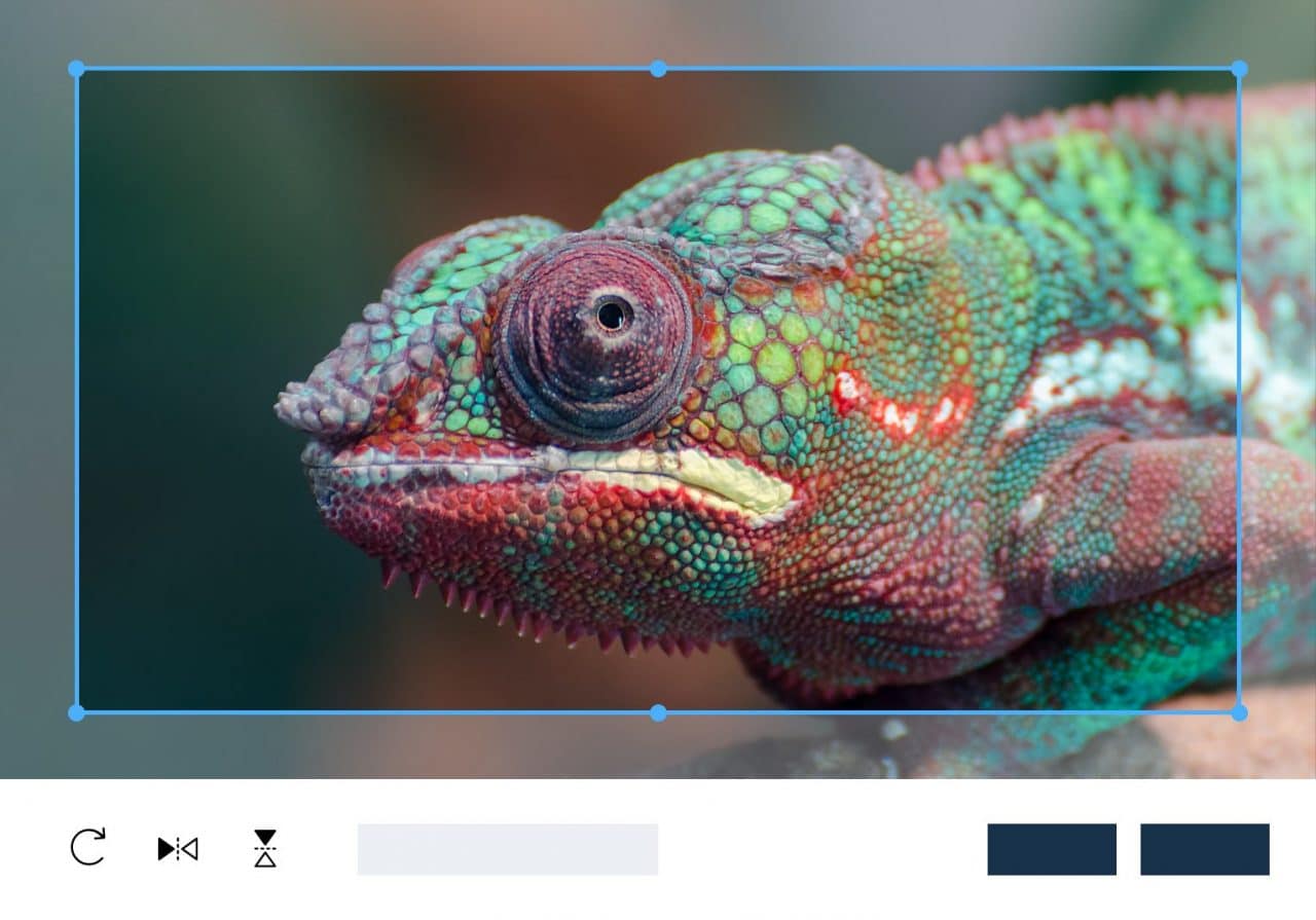 DAM Automated Cropping Tool | AdmiralCloud